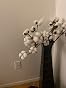 Amazon.com: DomeStar Cotton Stems, Natural Dried Cotton 8 Packs Total ...