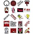 Amazon.com: Stickers Pack 20 Pcs QOTSA Laptop Aesthetic Vinyl Colorful ...
