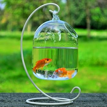 Amazon.com : Fake Swimming Fish in Bowl : Pet Supplies
