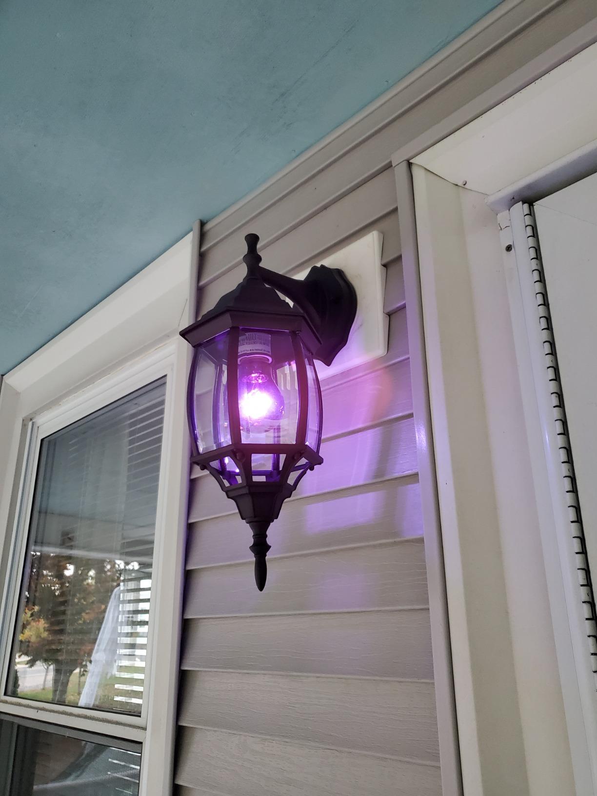 $3/mo - Finance NOMA Four-Sided Outdoor Wall Lantern | Waterproof Down ...