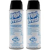 Amazon.com: BG Frigi-Fresh 5.5 oz. (156g) (Pack of 1) : Automotive