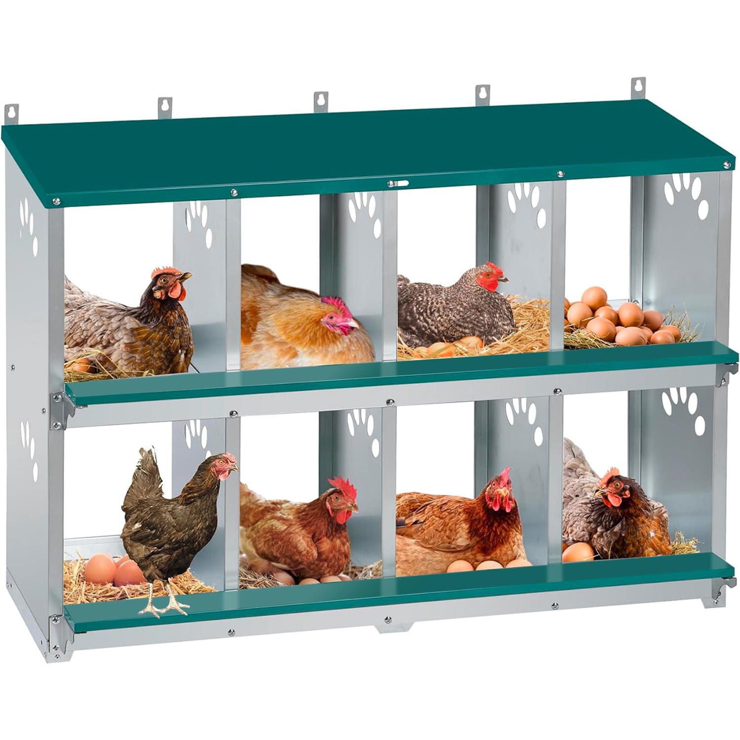 Toriexon Chicken Nesting Box, 8 Compartment Metal Nesting Box, Wall ...