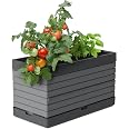 GARANT Modular Garden Bed – Deep Planter for Vegetables & Plants – 22 x ...