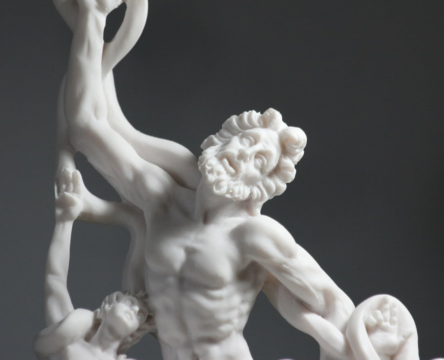 Decorazioni per interni Sconosciuto Laocoonte And His Sons Gruppo ...