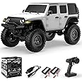 Amazon.com: FLYCOLOR RCS24 Off Road 1/24 RC Truck 4x4 Off Road Crawler ...