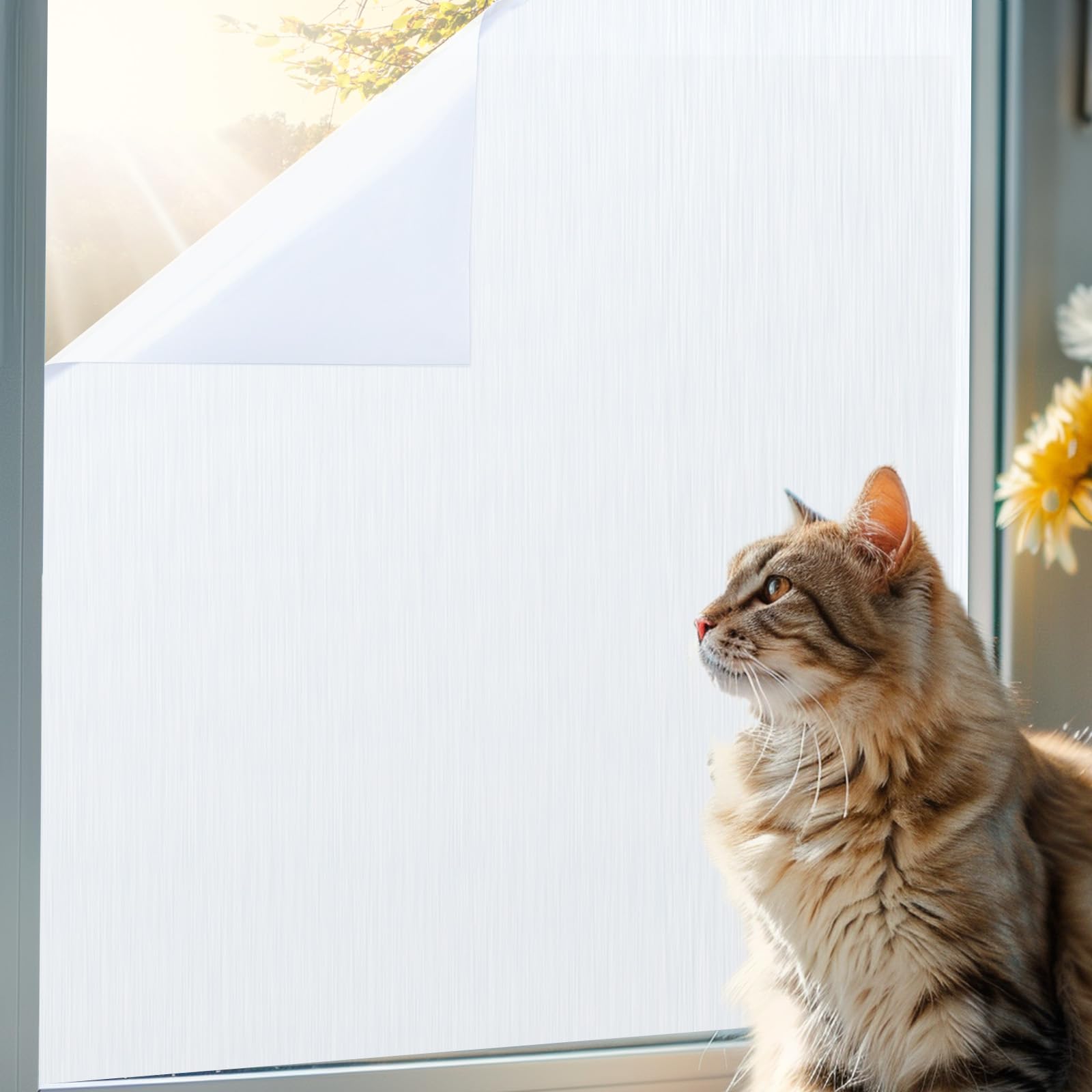 Coavas Window Privacy Film Static Cling, Frosted Glass Window Film ...