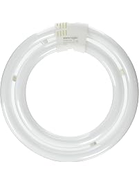 Compact fluorescent bulbs | Amazon.com