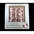 Amazon.com: 7 Pennies Puzzle: Toys & Games