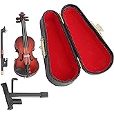Amazon.com: Dselvgvu Wooden Miniature Cello with Stand,Bow and Case ...