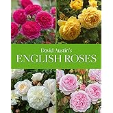 David Austin's English Roses: Glorious New Roses for American Gardens ...
