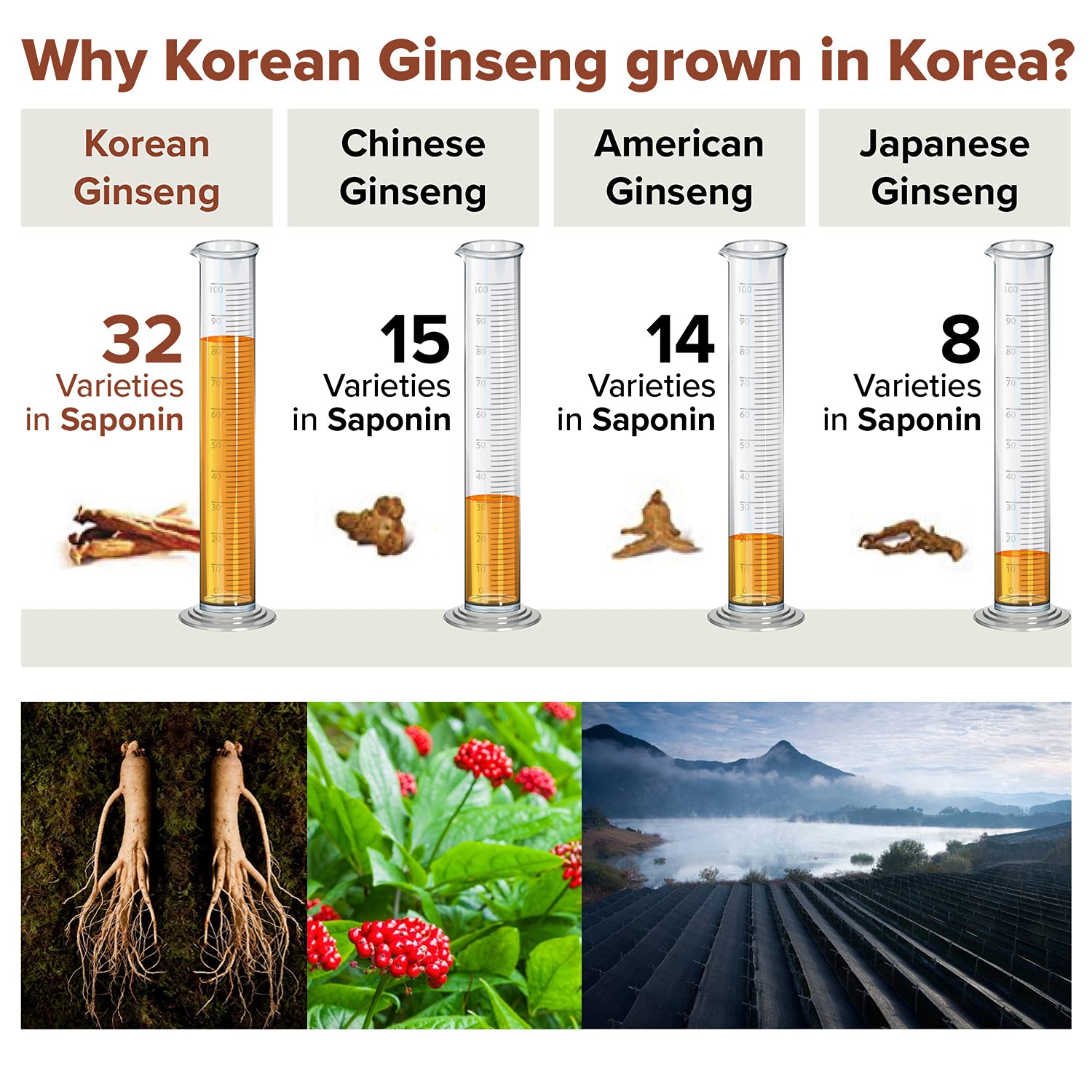 Mua RG3 300- Ginsenosides Rg3 Enhanced (Rg3 : 50mg/Sachet) Korean Red ...