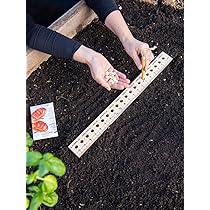 seed and plant spacing ruler & dibblet set