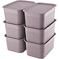 Amazon.com: AREYZIN Plastic Storage Bins With Lid Set of 6 Storage ...
