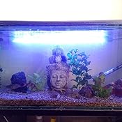 Fluval U4 Internal Filter, 240 Litre: Amazon.co.uk: Pet Supplies