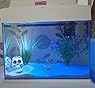 Fish 'R' Fun Rectangular Tank, 20 Litre Capacity, White : Amazon.co.uk ...