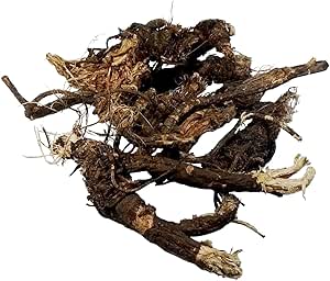 Amazon.com: OSHA Root Whole Wildcrafted 1 Ounce : Health & Household