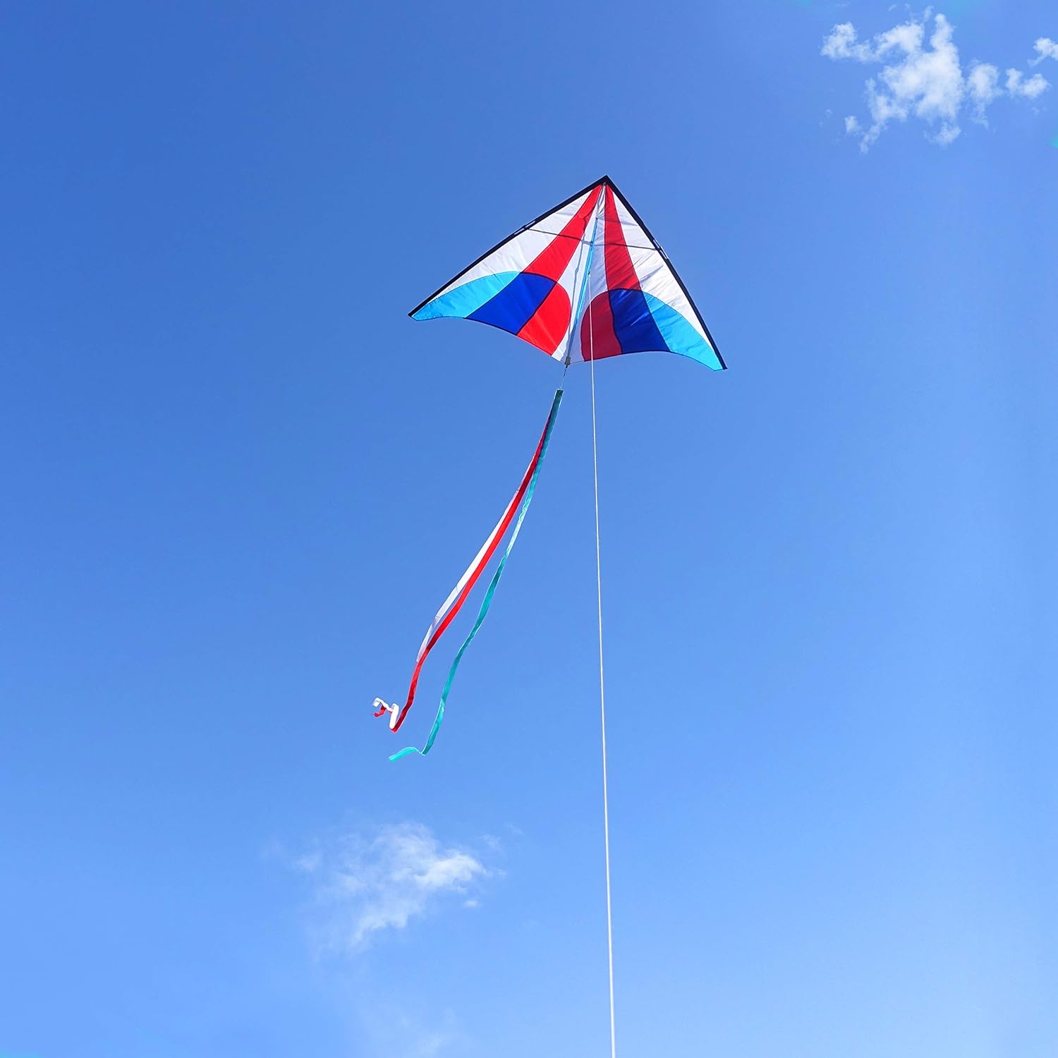 emma kites Holiday Delta Kite for Kids Adults Beginners Easy to Fly ...