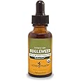 Amazon.com: Herb Pharm Bugleweed Extract for Endocrine System Support ...