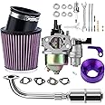 Amazon.com: SOFO Carburetor Racing 212cc Performance Kit with Air ...