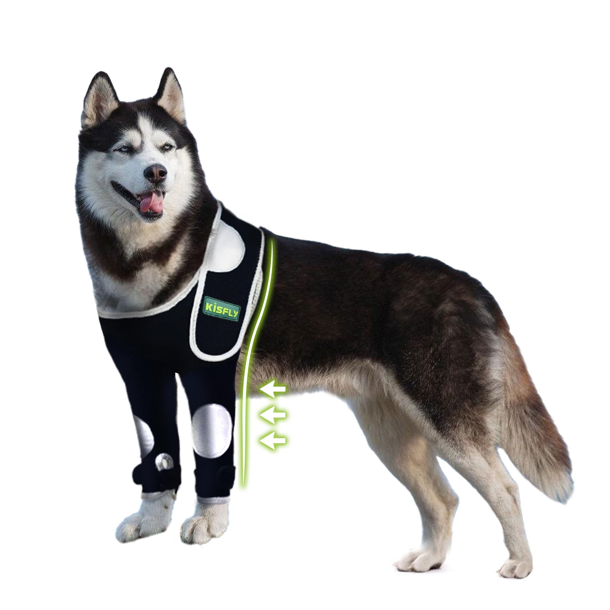 Dog Leg Brace Front Prevents Elbow Hygroma, Elbow Calluses, Pressure ...