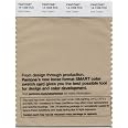 Pantone Smart Swatch 14-1208 Irish Cream - Amazon.com