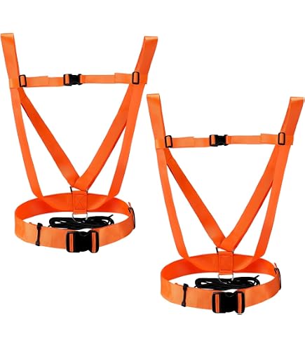 Sled With Roll Cage