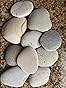 Amazon.com: Lifetop 120PCS Painting Rocks, DIY Rocks Flat & Smooth ...