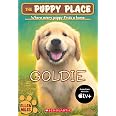 Amazon.com: Goldie: 9780439793797: Miles, Ellen: Books