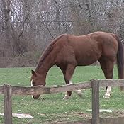 Amazon.com : Canon VIXIA HF R50 Full HD Camcorder with Wi-Fi and 3-Inch ...