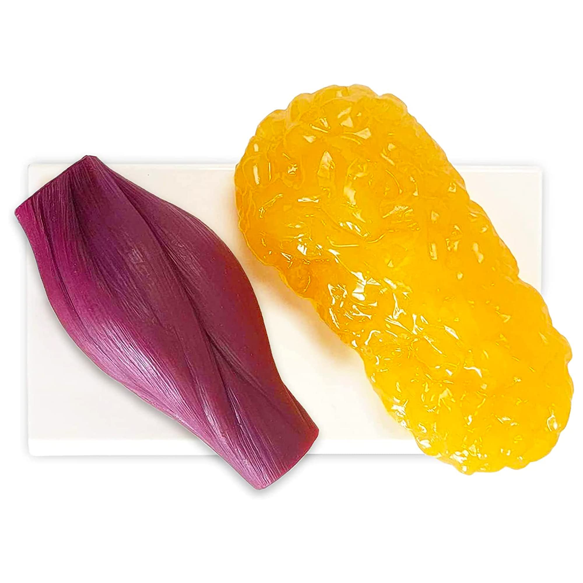 Mua Amazing Human Body Muscle & Fat Replica 1lb by Evviva Sciences ...