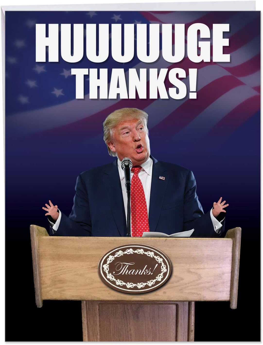 Amazon.com : Funny 8.5 x 11 Inch Thank You Greeting Card with Envelope ...