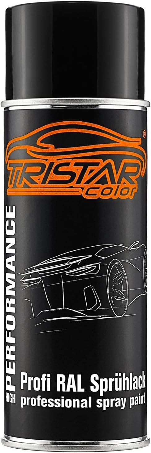 RAL 7025 Gris Perle Spray 400 ml satiné Séchage rapide: Amazon.fr ...