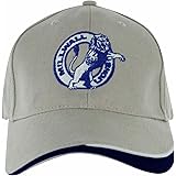 Adults Millwall FC Crest Embroidered Baseball Cap (Adjustable): Amazon ...
