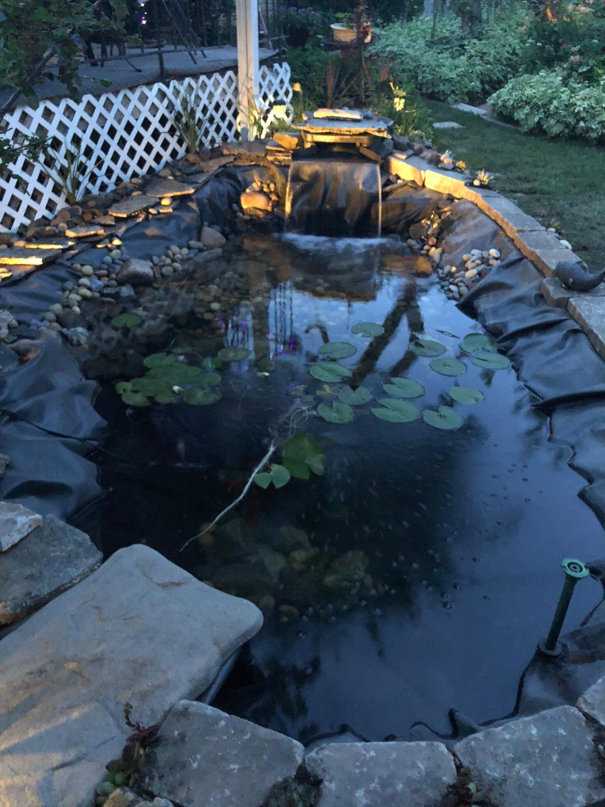 $96/mo - Finance HALF OFF PONDS - LH0-5200 Complete PRO Water Garden ...