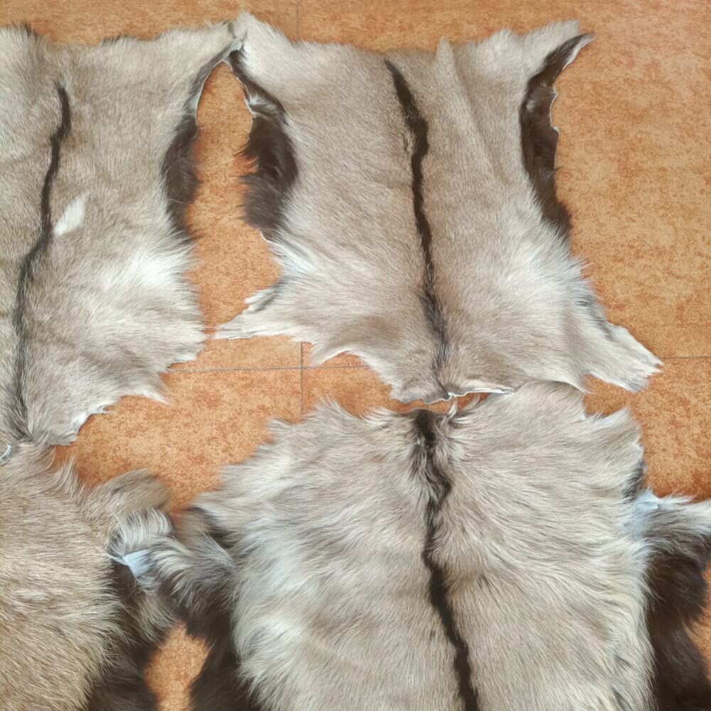 Real Antelope Goat Hide Fur Skin Pelt Fur Sheepskin Leather Fur Skin ...