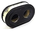 Briggs & Stratton 593260 Air Cleaner Cartridge Filter, White : Amazon ...