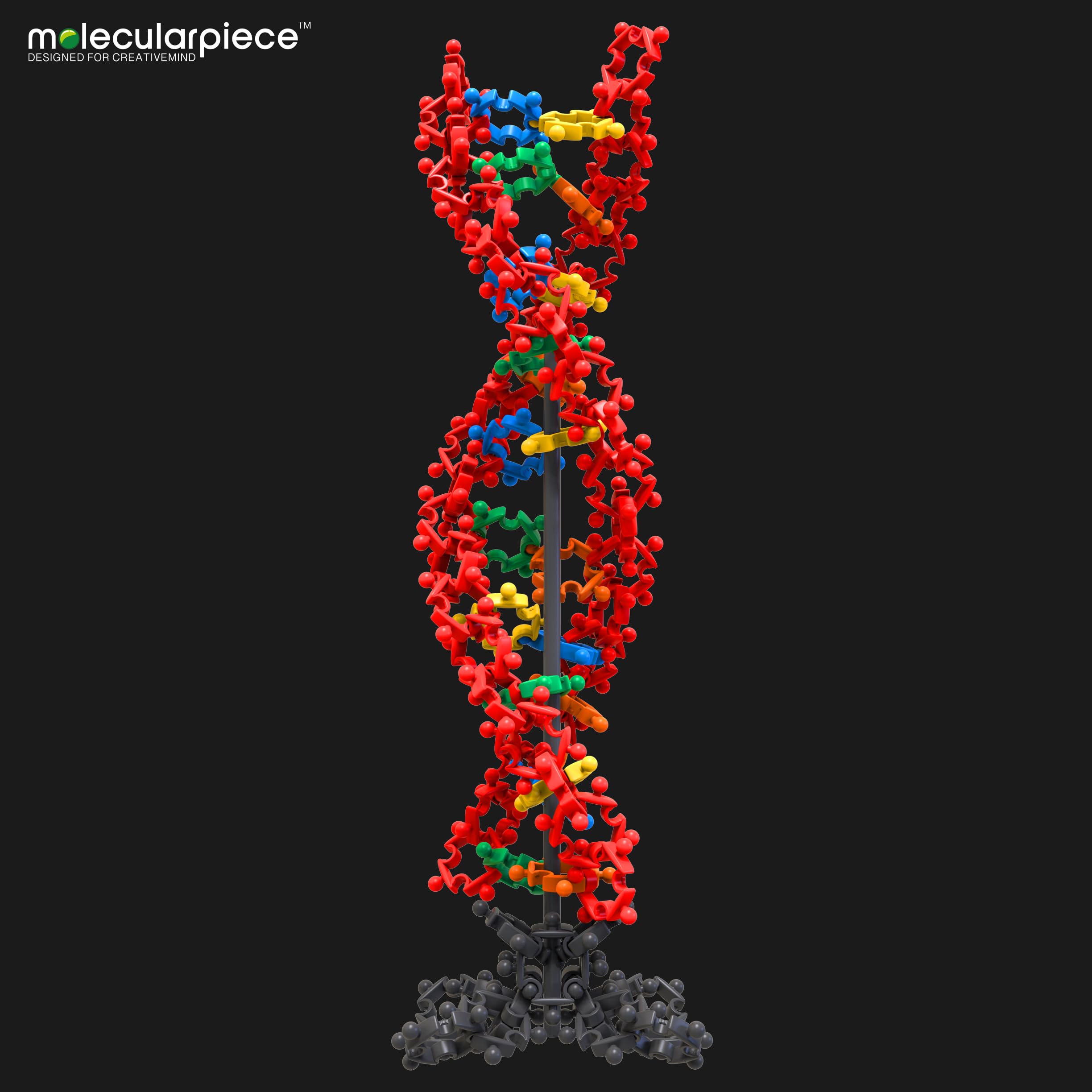 Mua molecularpiece: DNA Double Helix Structure Model (76 pcs) 4D STEM ...