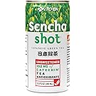 Amazon.com : UCC Green Tea, 11.1-Ounce Cans (Pack of 24) : Green Tea In ...