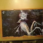 The Faeries' Oracle: Brian Froud, Jessica Macbeth: 8601300412740 ...