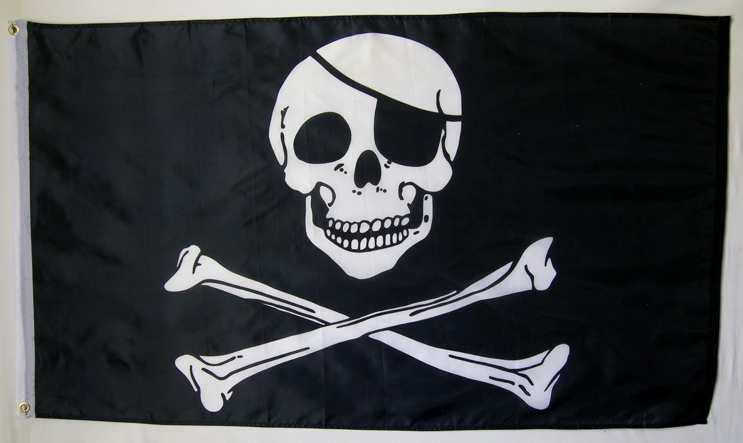 Amazon.com : Complete Steel Powered Coated Flag Pole With Hardware & 3 ...