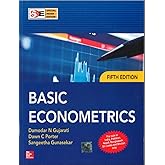 Basic Econometrics, 4th Edition: J.K: 9780070597938: Amazon.com: Books