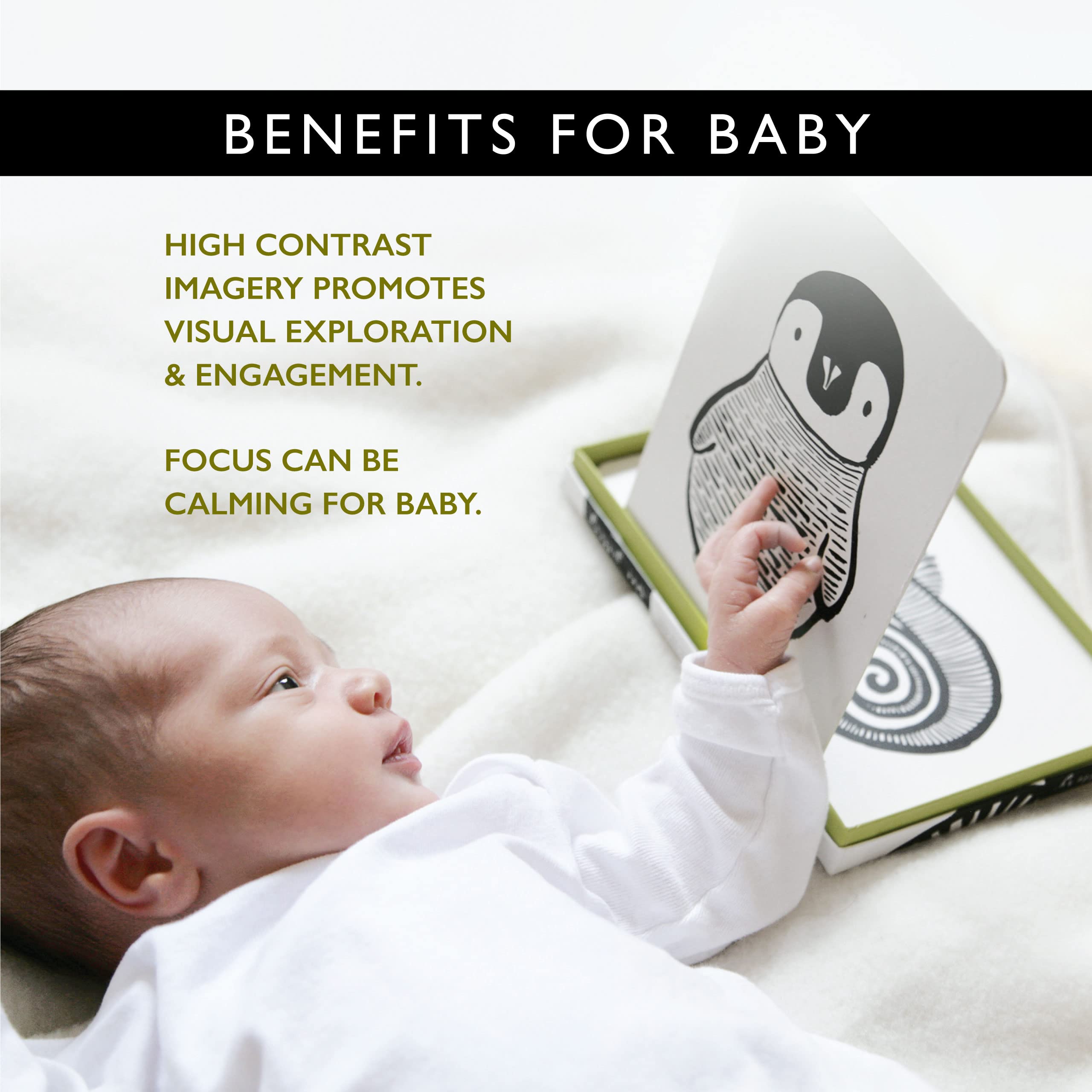 Mua Wee Gallery Black and White Art Flash Cards for Babies, High ...