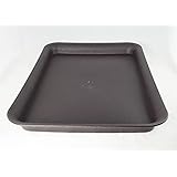 Amazon.com : 3 Lbs Decorative Pebbles for Bonsai Humidity Tray / Bonsai ...