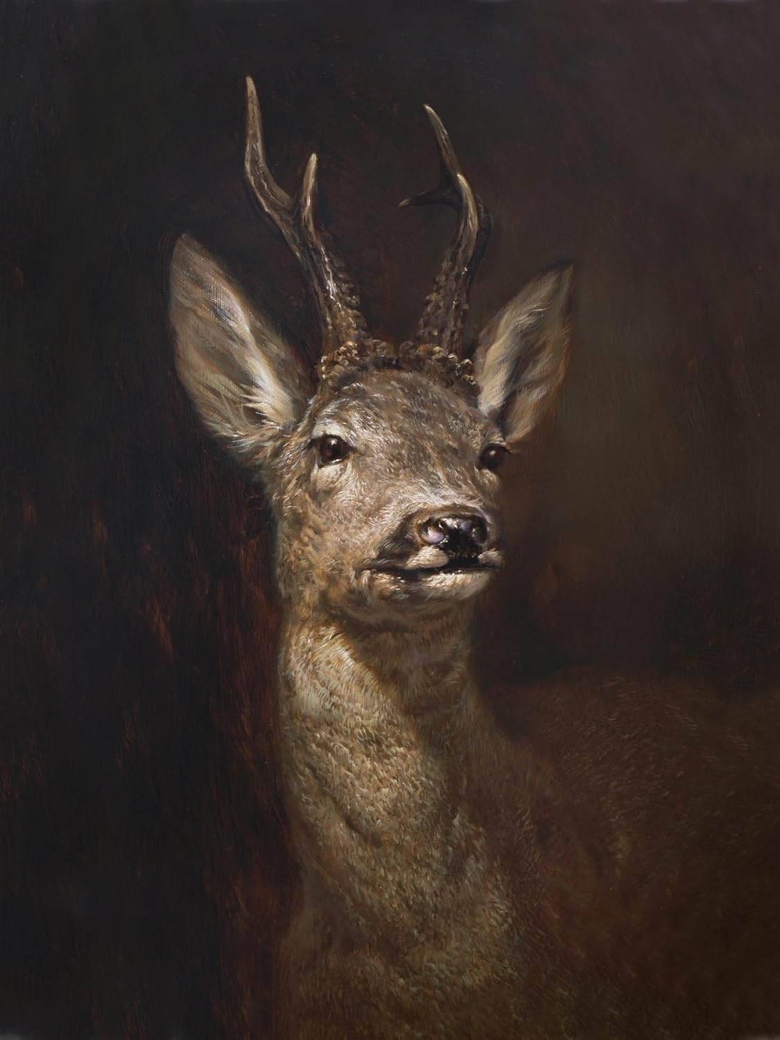 Corzo - Lámina sobre lienzo."Retrato de Corzo" (Capreolus capreolus ...