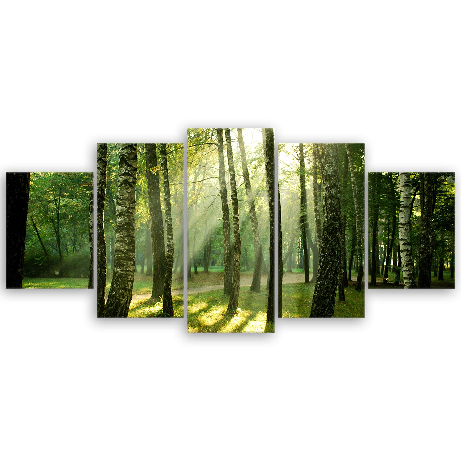 ge Bildet Bilderdepot24 hochwertiges Leinwandbild XXL Pflanzen Bilder - Wald - Natur Blumen Wald ...