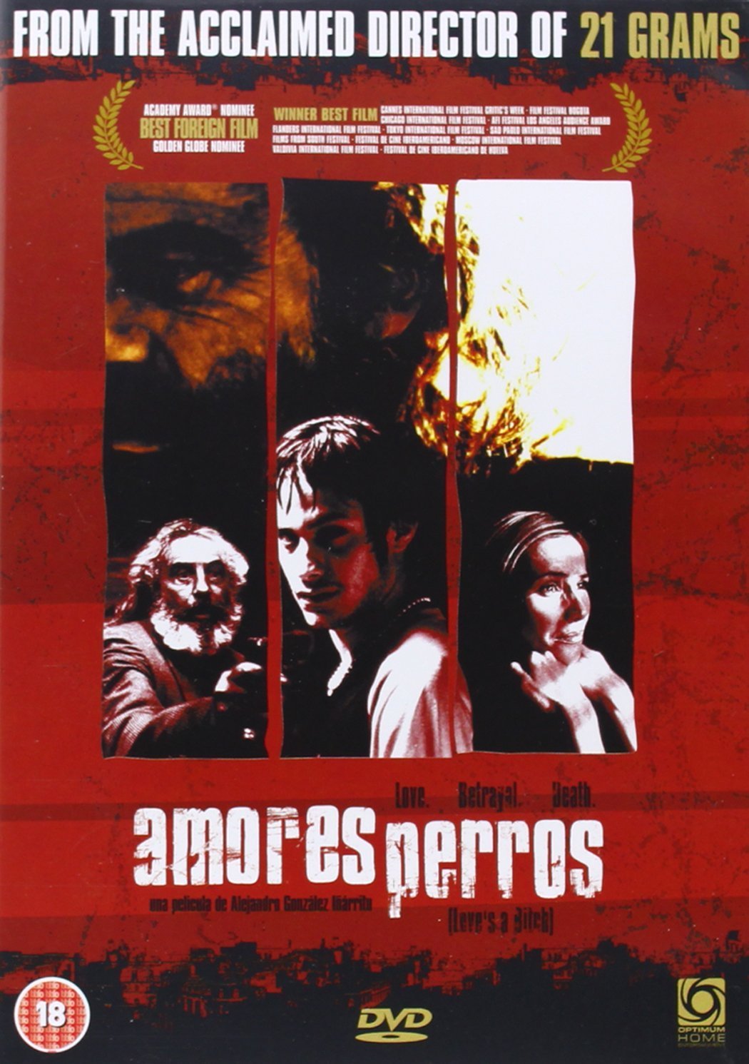 Amores Perros Subtitled) [Reino Unido] [DVD]: Amazon.es: Emilio Echevarría, Gael García Bernal ...