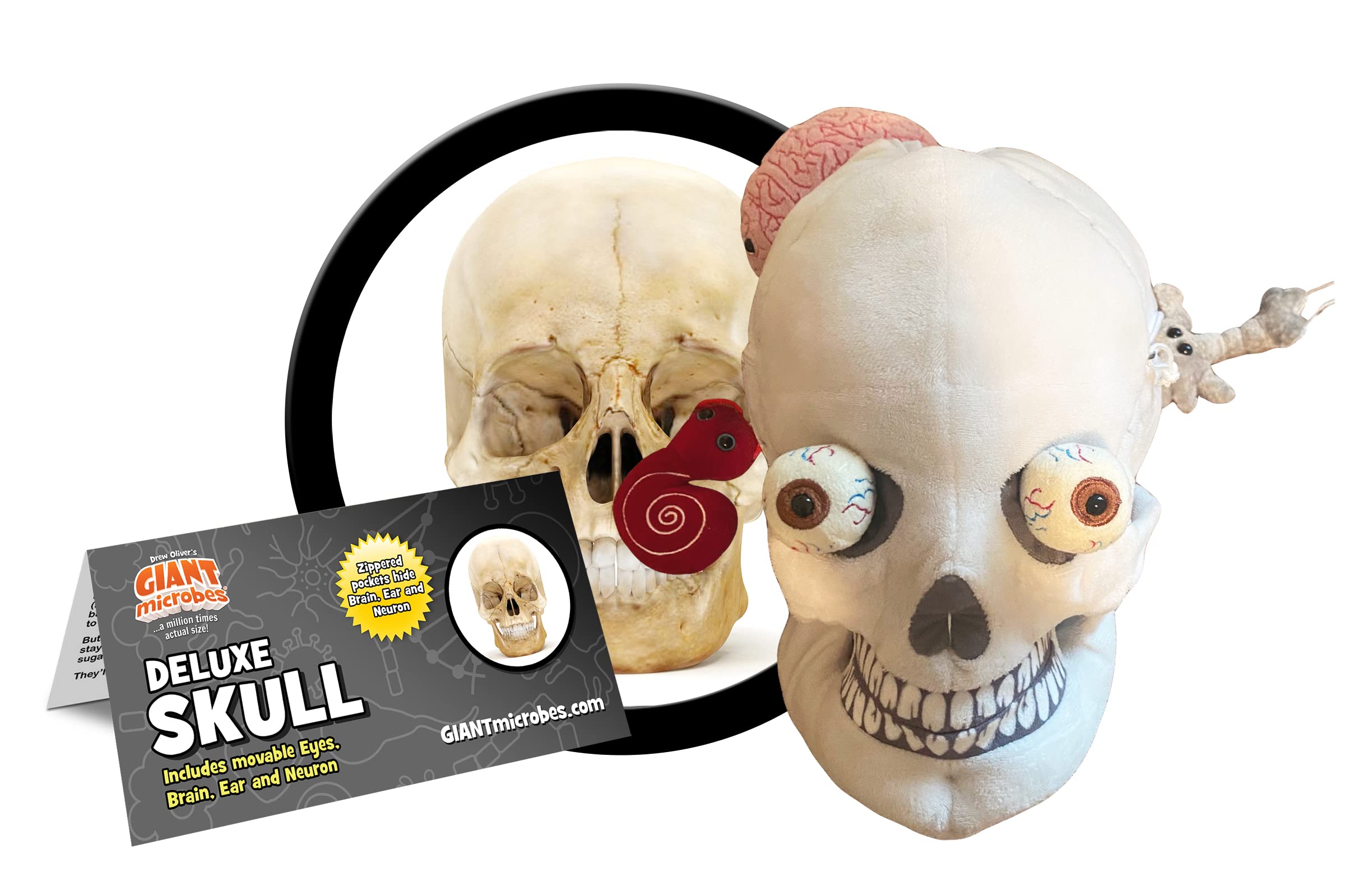 GIANTmicrobes Deluxe Skull with Hidden Organs Plush, Skull Plush ...