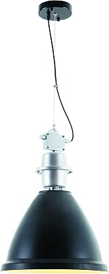 Capital Lighting 4432AN Transitional 1-Light Pendant, Antique Nickel ...
