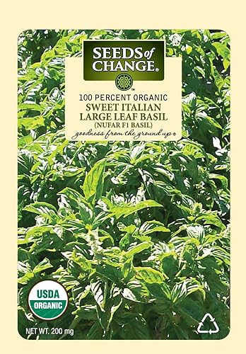 Seeds of Change Certified Organic Nufar F1 Basil Seeds in Oman | Whizz ...