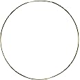 Amazon.com: Darice Gold 12 inches, Metal Ring : Arts, Crafts & Sewing